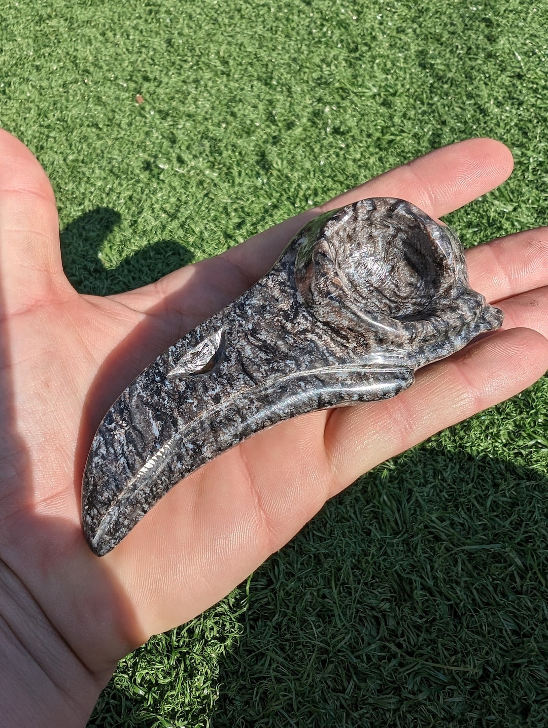 Petrified Palm Wood Raven Skull Carving, Rare and Master Carved,one of ...