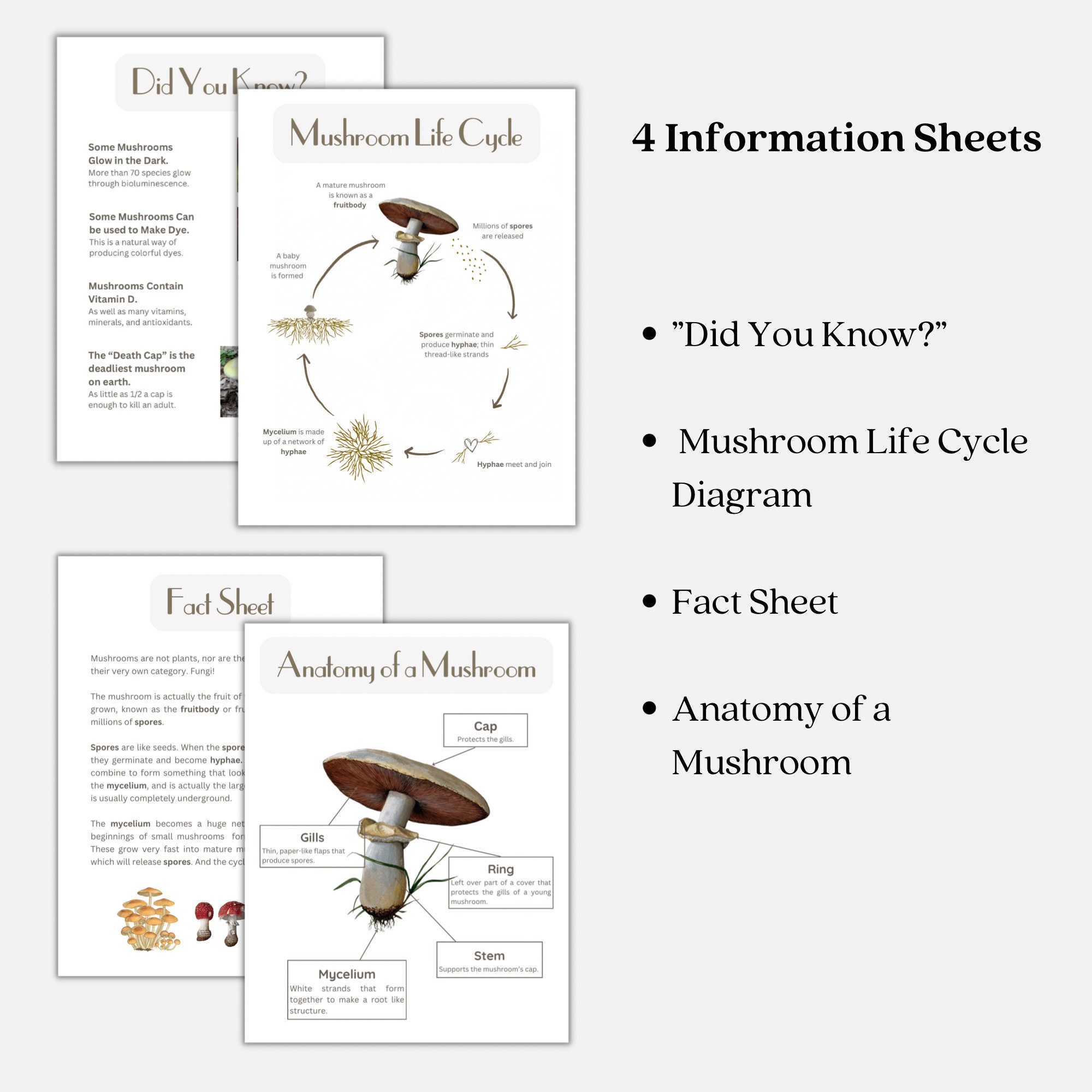 Mushrooms Unit Study, Homeschool, Learning Resource, Printable, Instant ...