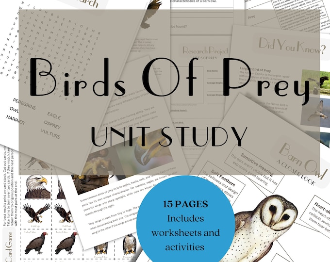 Birds of Prey Unit Study: Homeschool Worksheets (digital Download) - Etsy