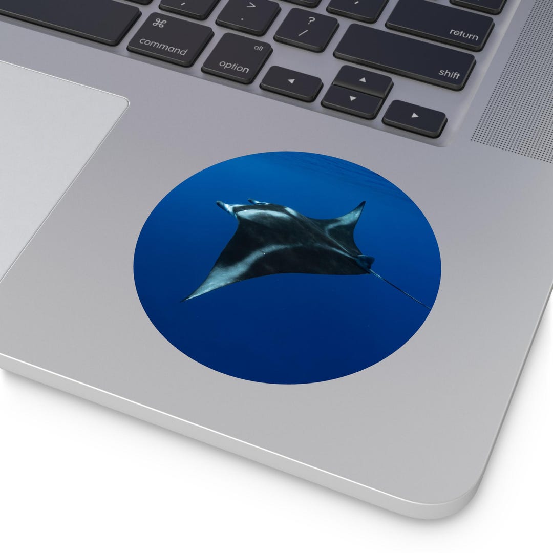 Manta Ray Round Vinyl Sticker - Etsy