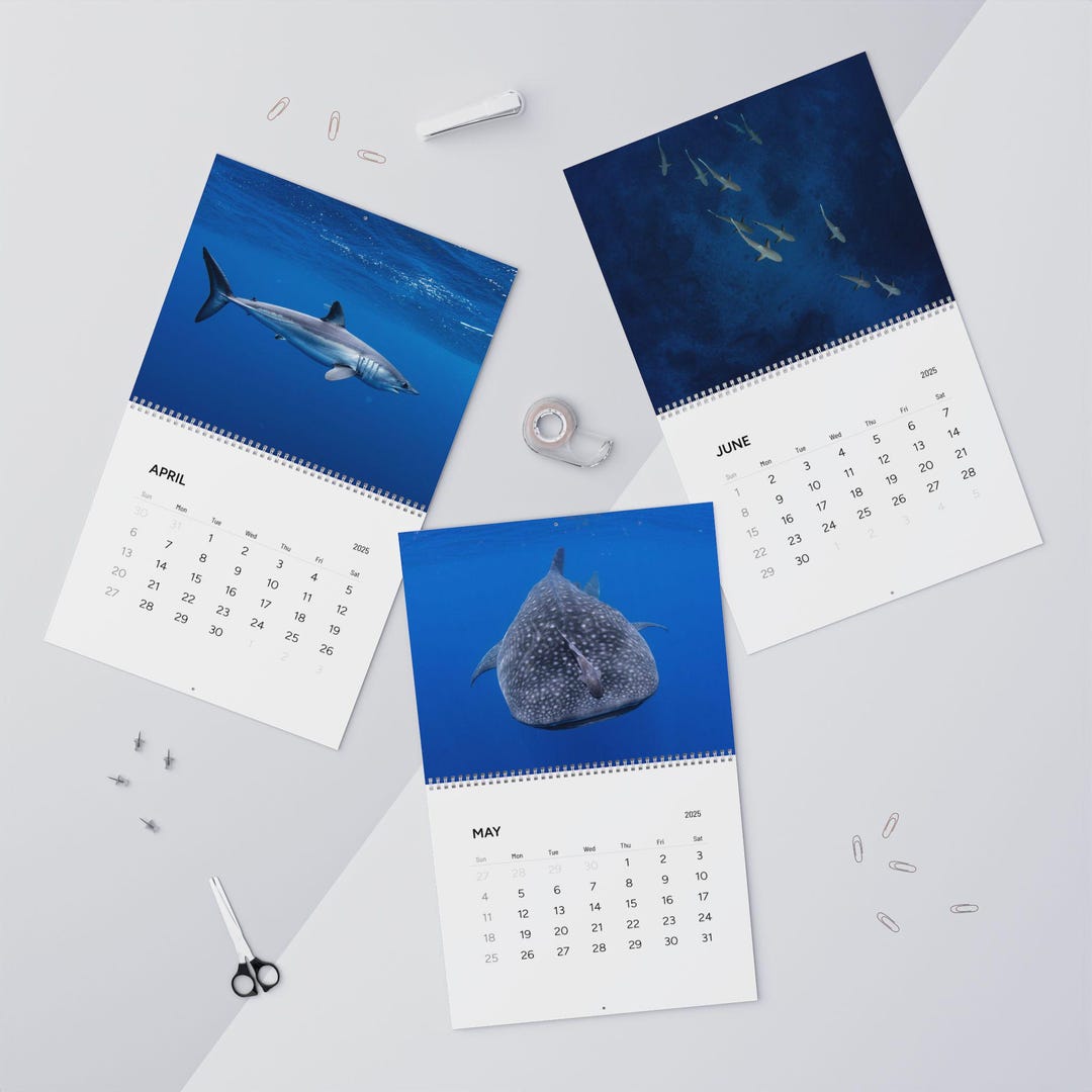 Shark Wall Calendars (2025) - Etsy