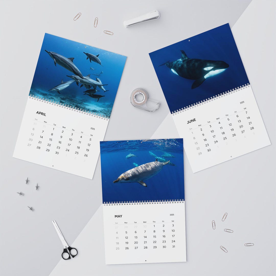Dolphins & Whales Wall Calendars (2025) - Etsy