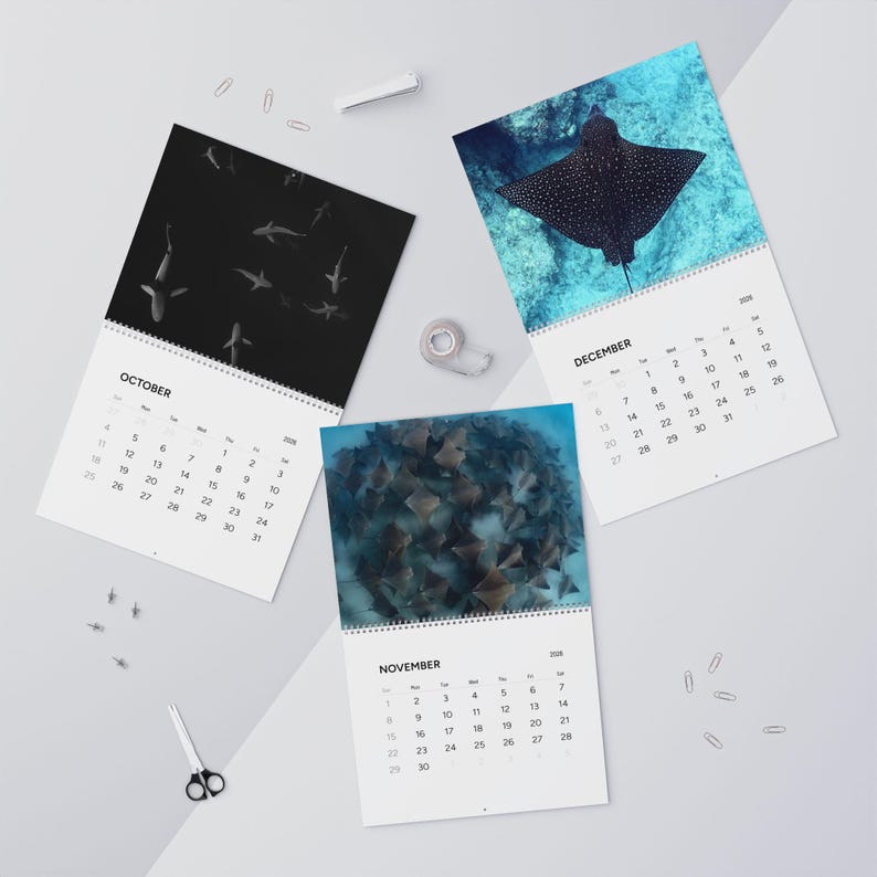 Ocean Animals Wall Calendars (2026) - Etsy