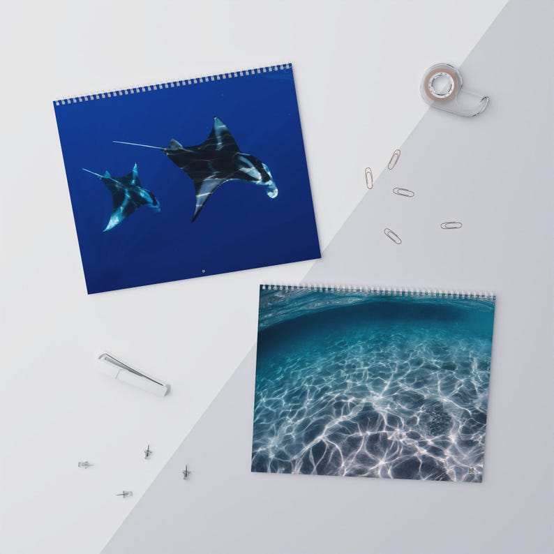 Ocean Animals Wall Calendars (2026) - Etsy