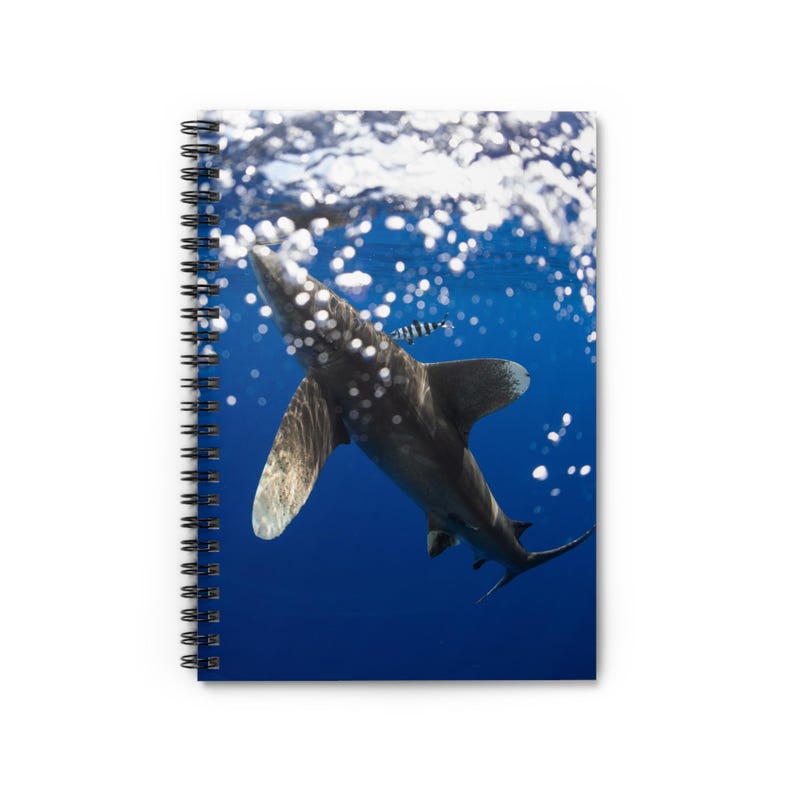Shark Print Spiral Notebook - Ruled Line - Etsy