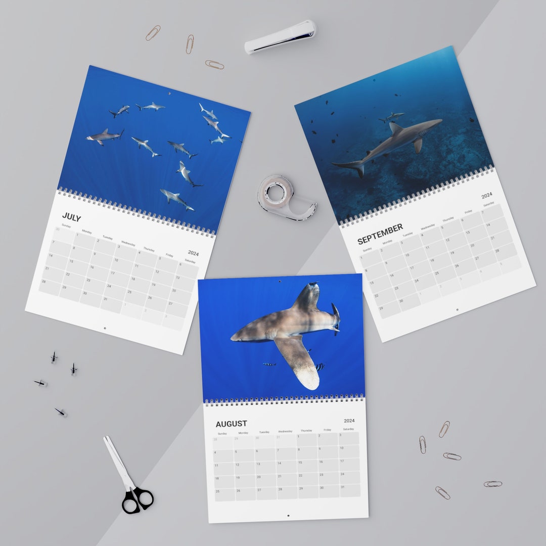 Shark Calendar 2024 - Etsy UK