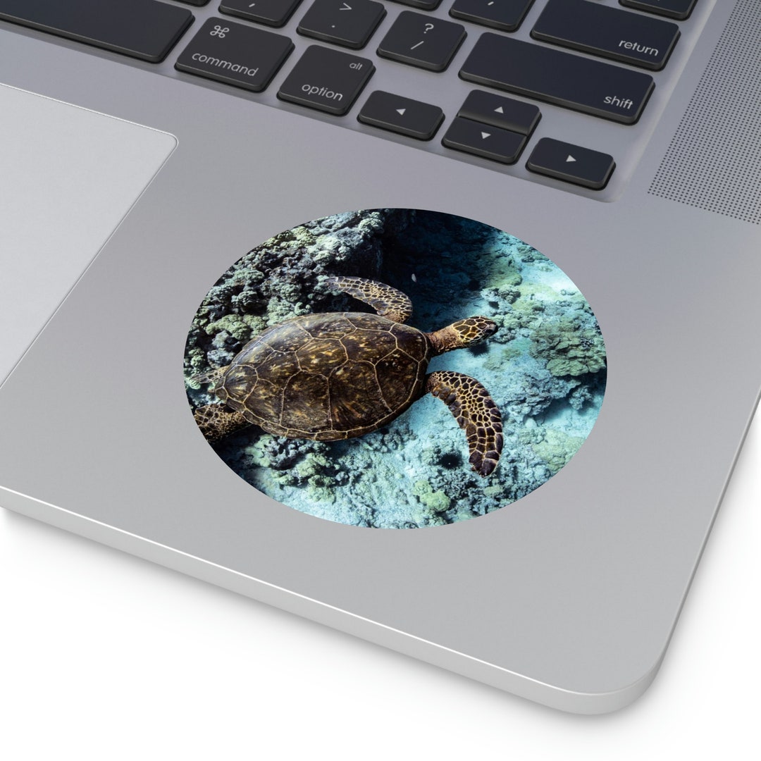 Sea Turtle, Honu Round Vinyl Stickers - Etsy
