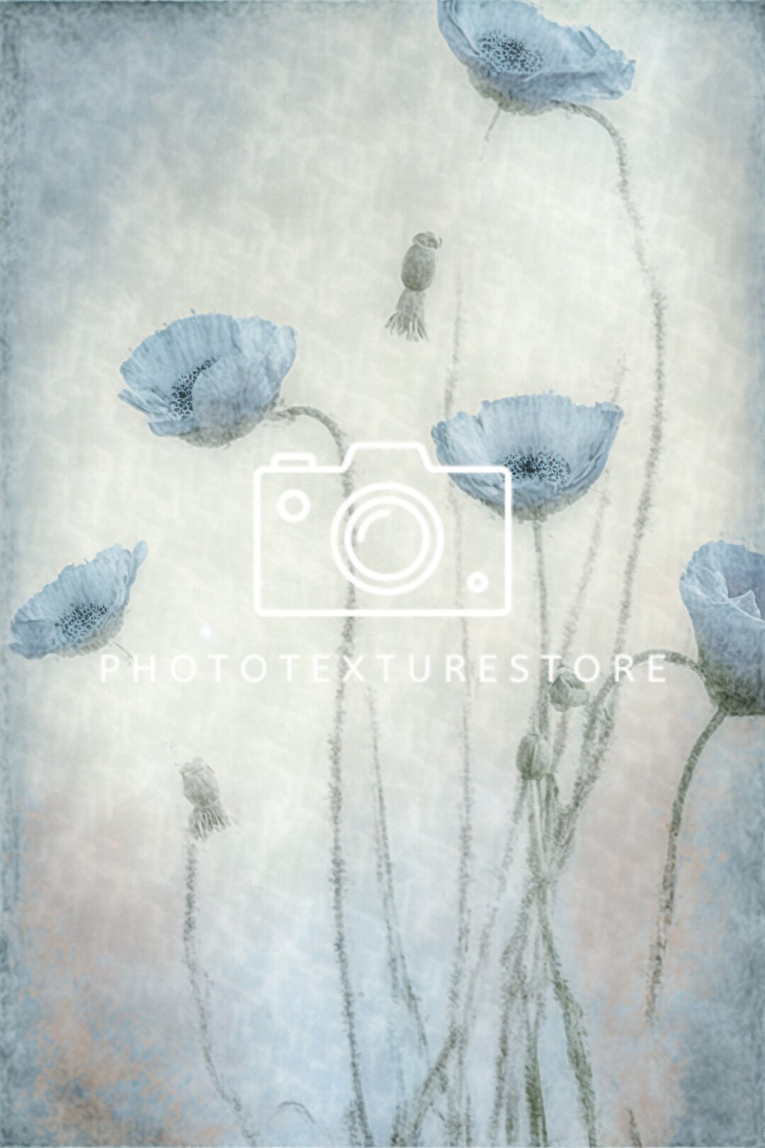 Fine Art Texture Floral Overlay, Photoshop Overlay, Floral Layer ...