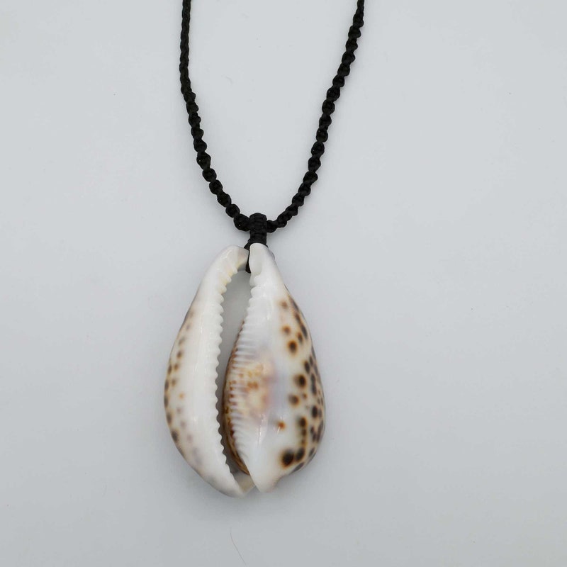 Shell Necklace - Etsy