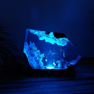 Decorative Epoxy Resin Wood Lamp, Crystal Ray and Divers, Reef and ...
