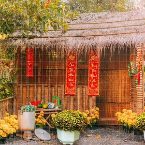 Backdrop Xuan 2025 | Lunar New Year Decorative Backdrop| Tet Photo ...