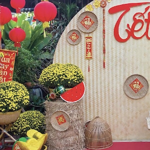 Vietnamese New Year Decorations: Tet Photo Backdrop 2025| Lunar New ...