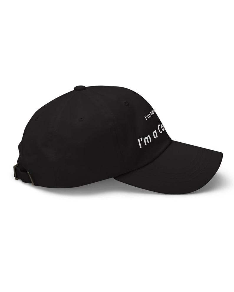 I’m Not Scared. I’m a Caregiver Dad Hat | Caregiver Gift | Embroidered ...