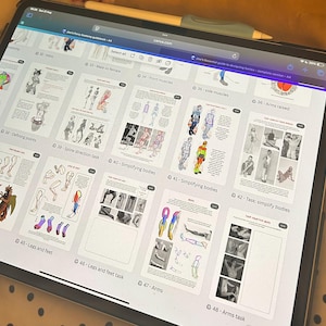 Jinx’s Furry Anatomy Guide - Etsy