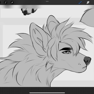 Feral Wolf Adopt Base - Etsy