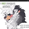 Hyena Ref Sheet Base - Etsy