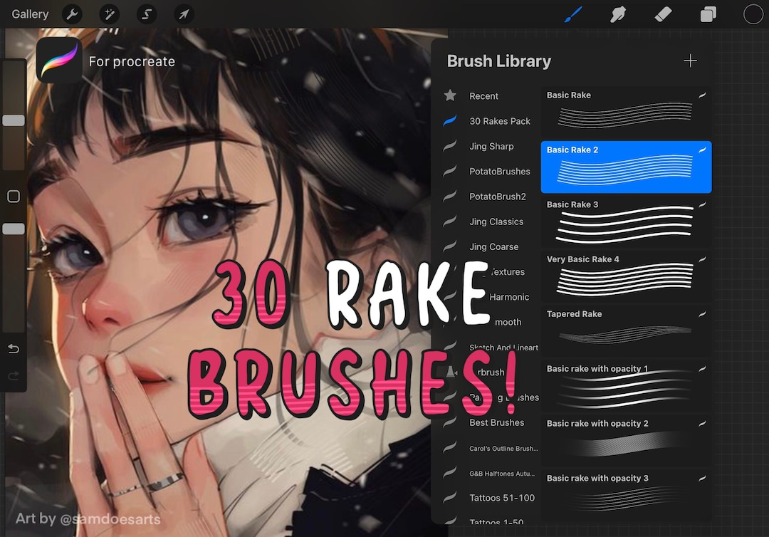 Rake Brushes for Procreate Digital Art Texture Brushes - Etsy