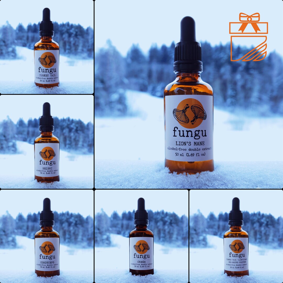 Mushroom Extract Box Set Double Extract Collection Mushroom Gift Box ...