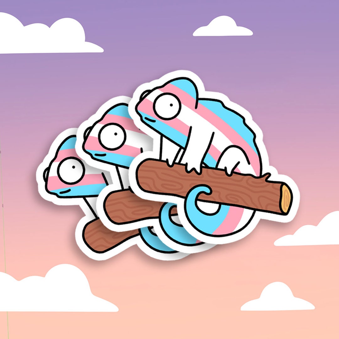 LGBTQ Pride Flag Stickers pick Your Flag Pack of 3 - Etsy