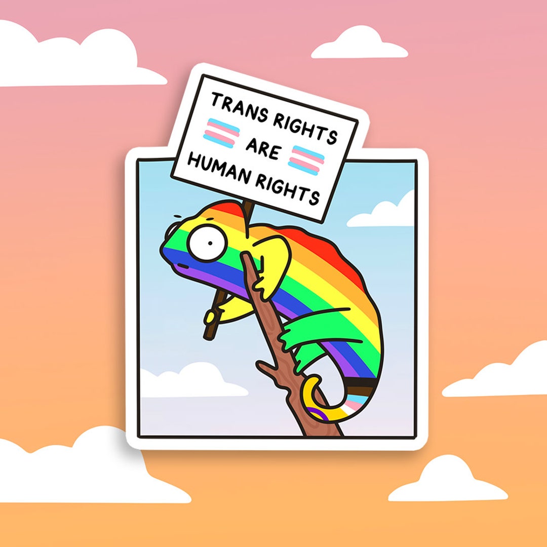 Trans Rights Sticker Queer Chameleon Water Resistant Vinyl LGBTQ ...