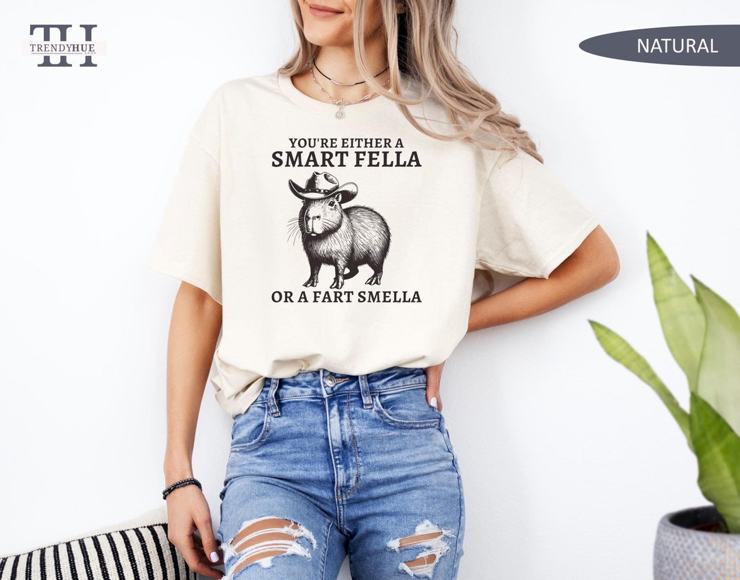 You're Either A Smart Fella or A Fart Smella T-shirt, Funny T-shirt ...
