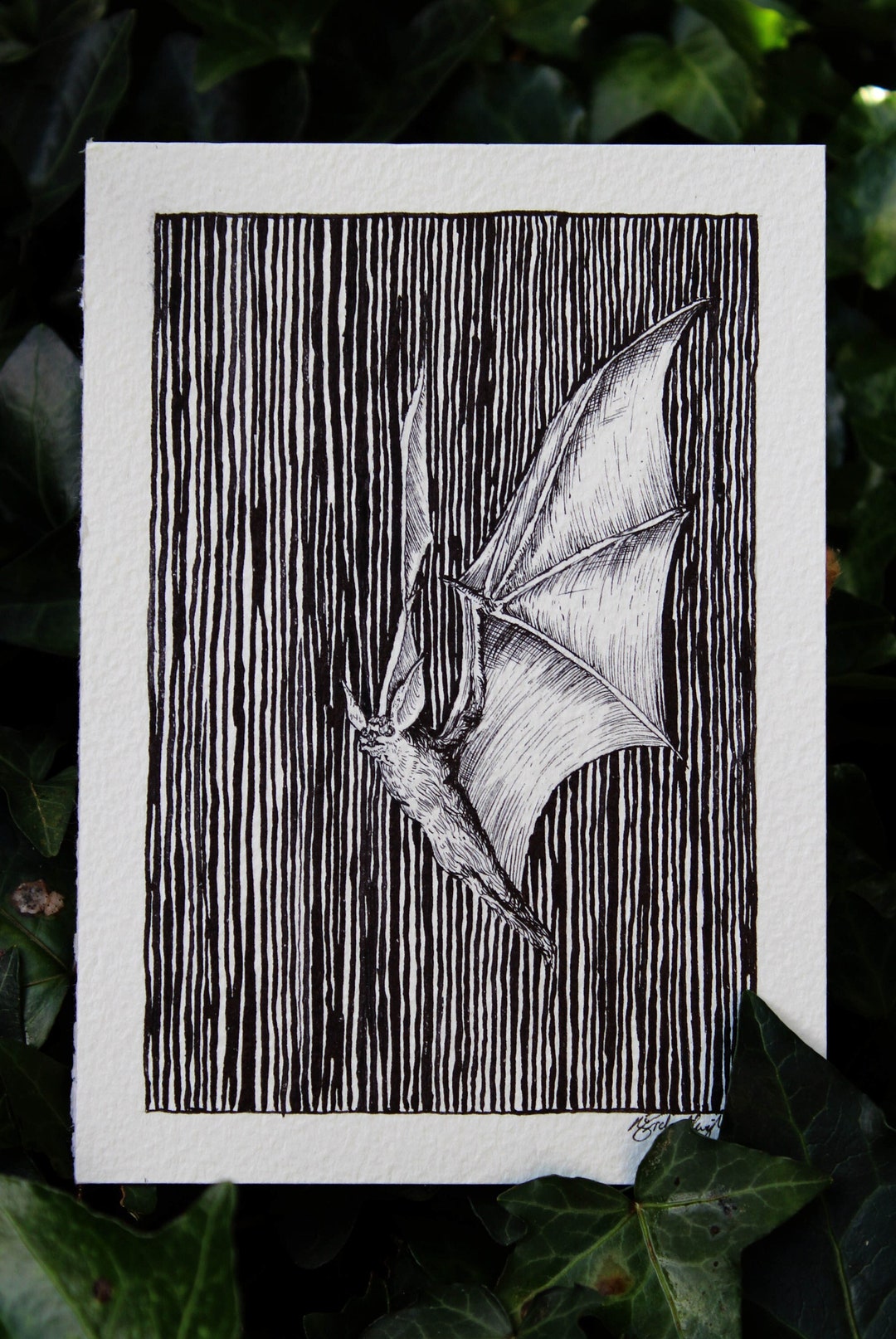 VAMPIRE BAT / Original Ink Drawing - Etsy