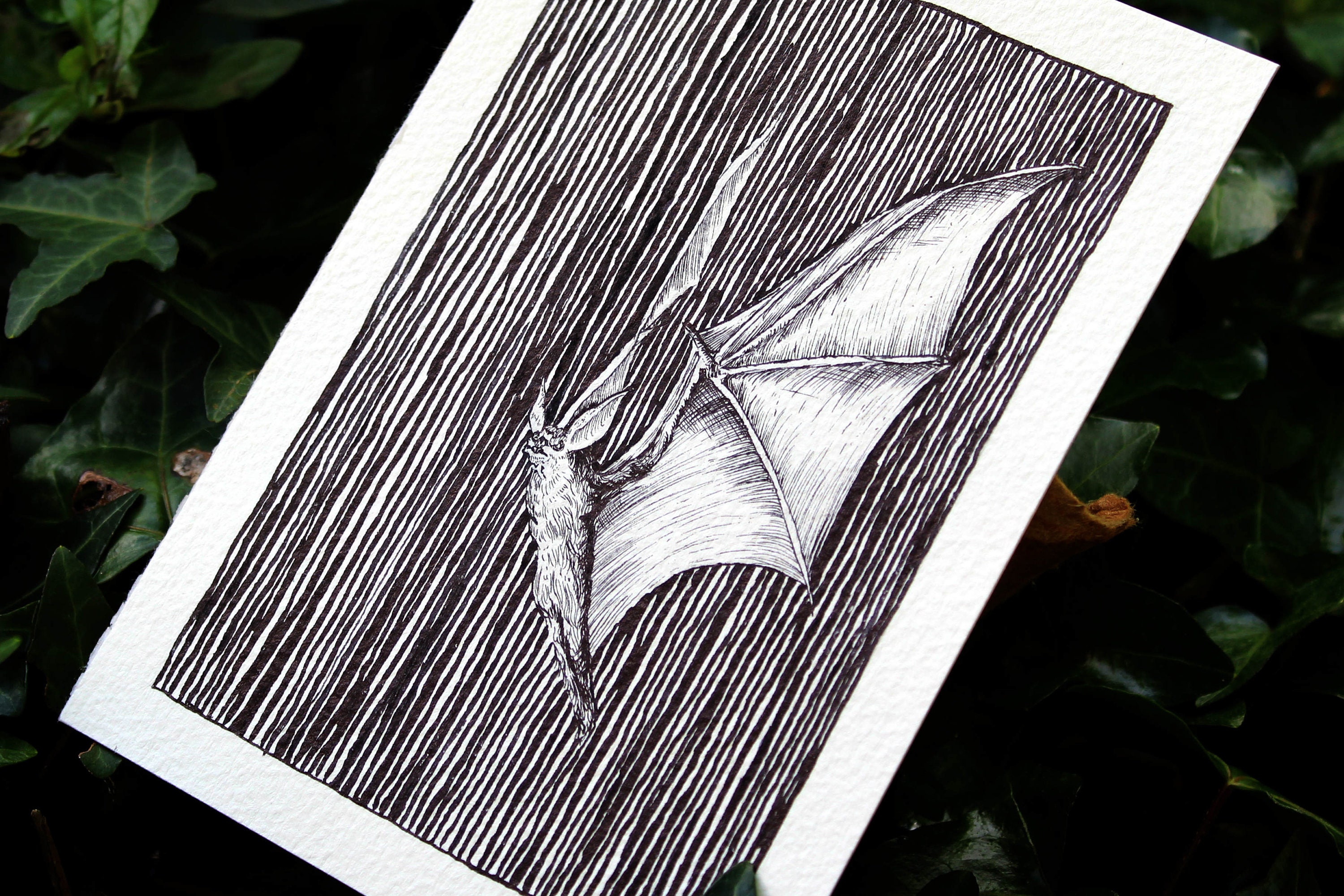VAMPIRE BAT / Original Ink Drawing - Etsy