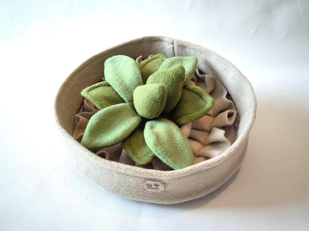 Sniffing Basket With Mini Sniffing Mat Succulent, Sniffing Carpet ...