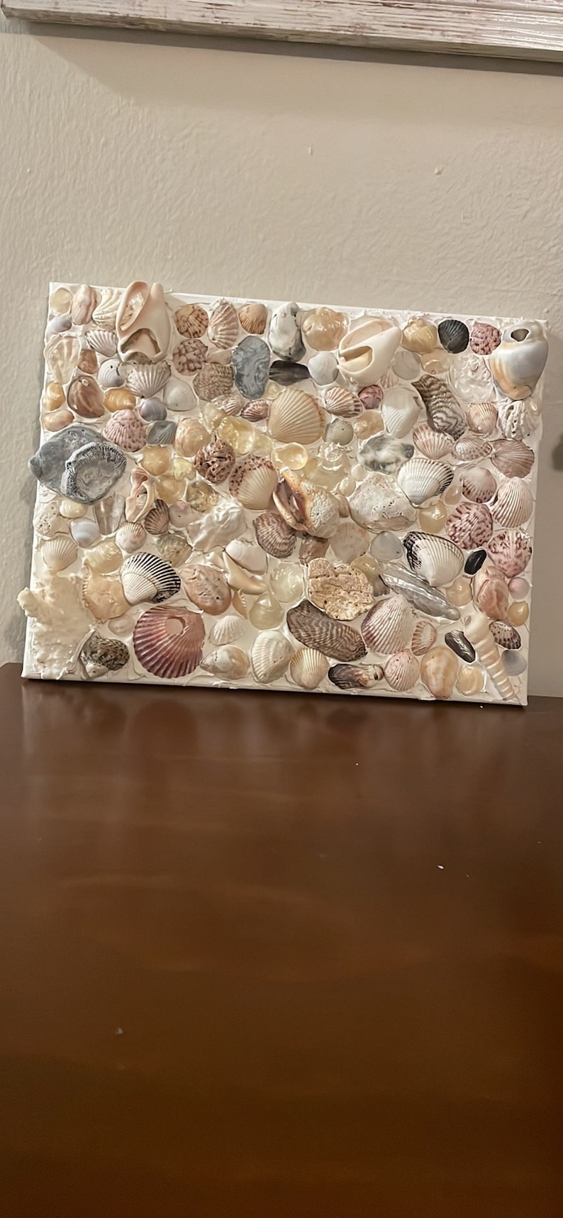Sea Shell Spackle Canvas - Etsy