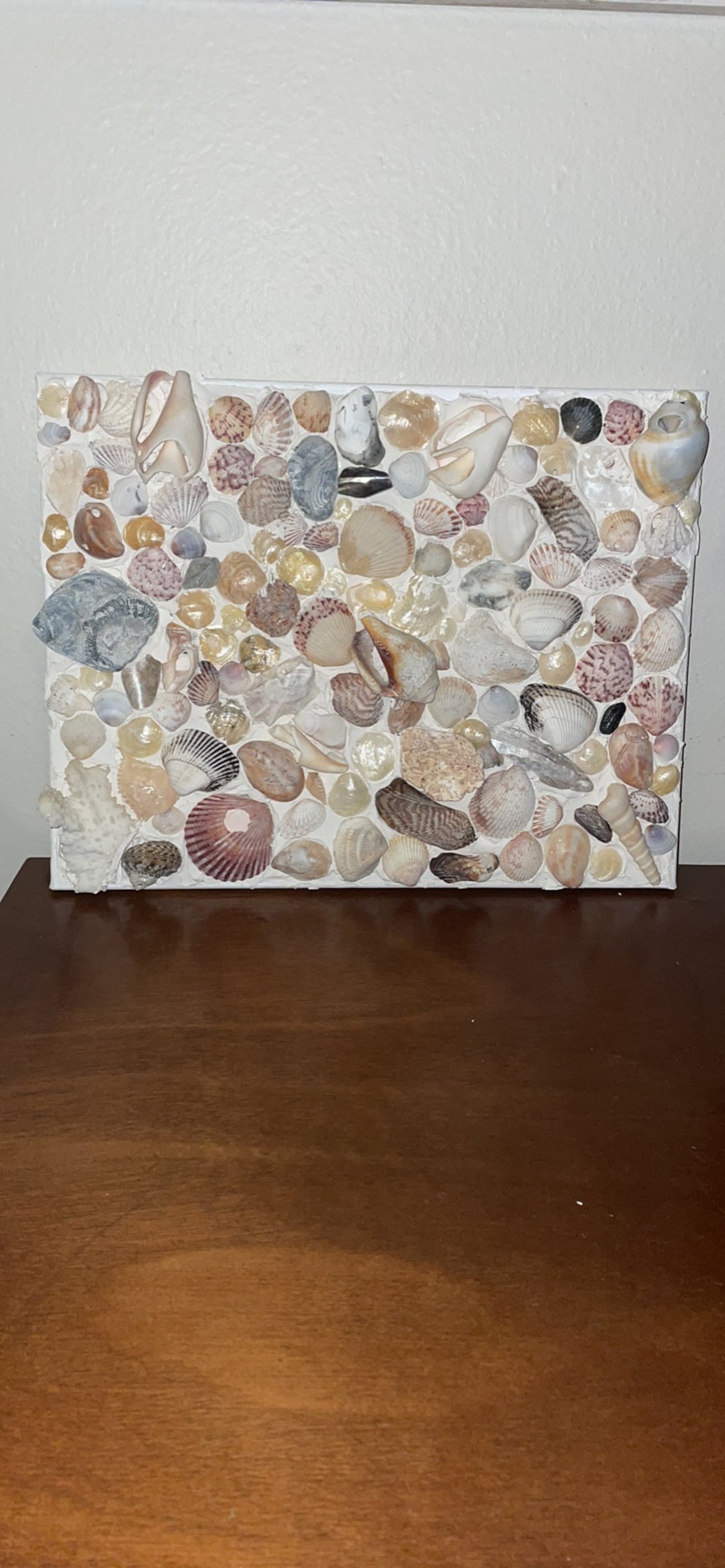 Sea Shell Spackle Canvas - Etsy