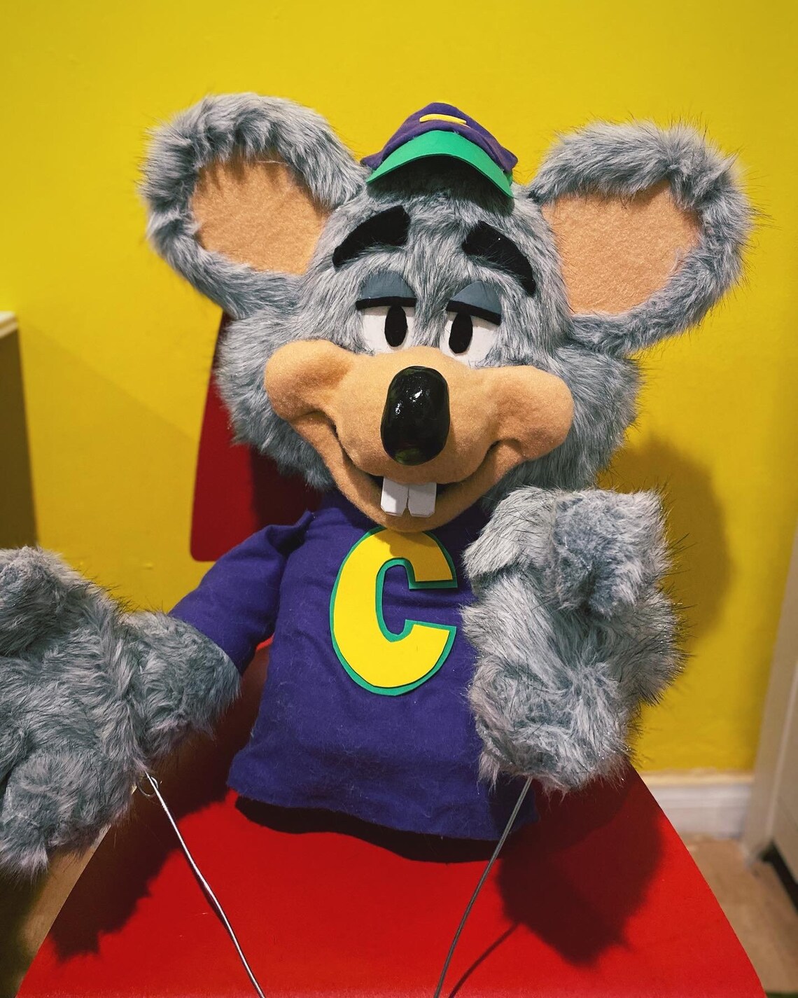 Chuck E. Cheese Puppet - Etsy UK
