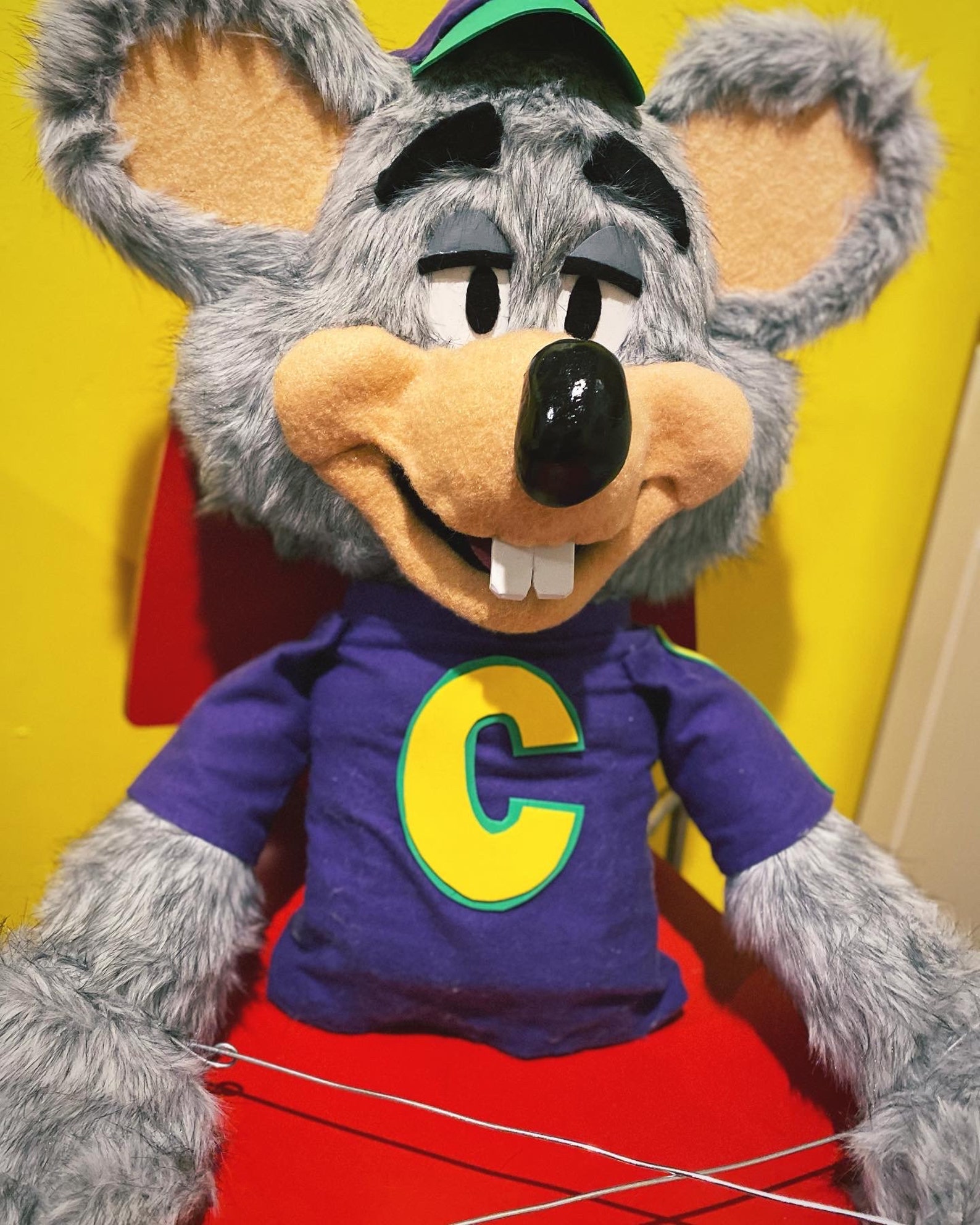 Chuck E. Cheese Puppet - Etsy UK