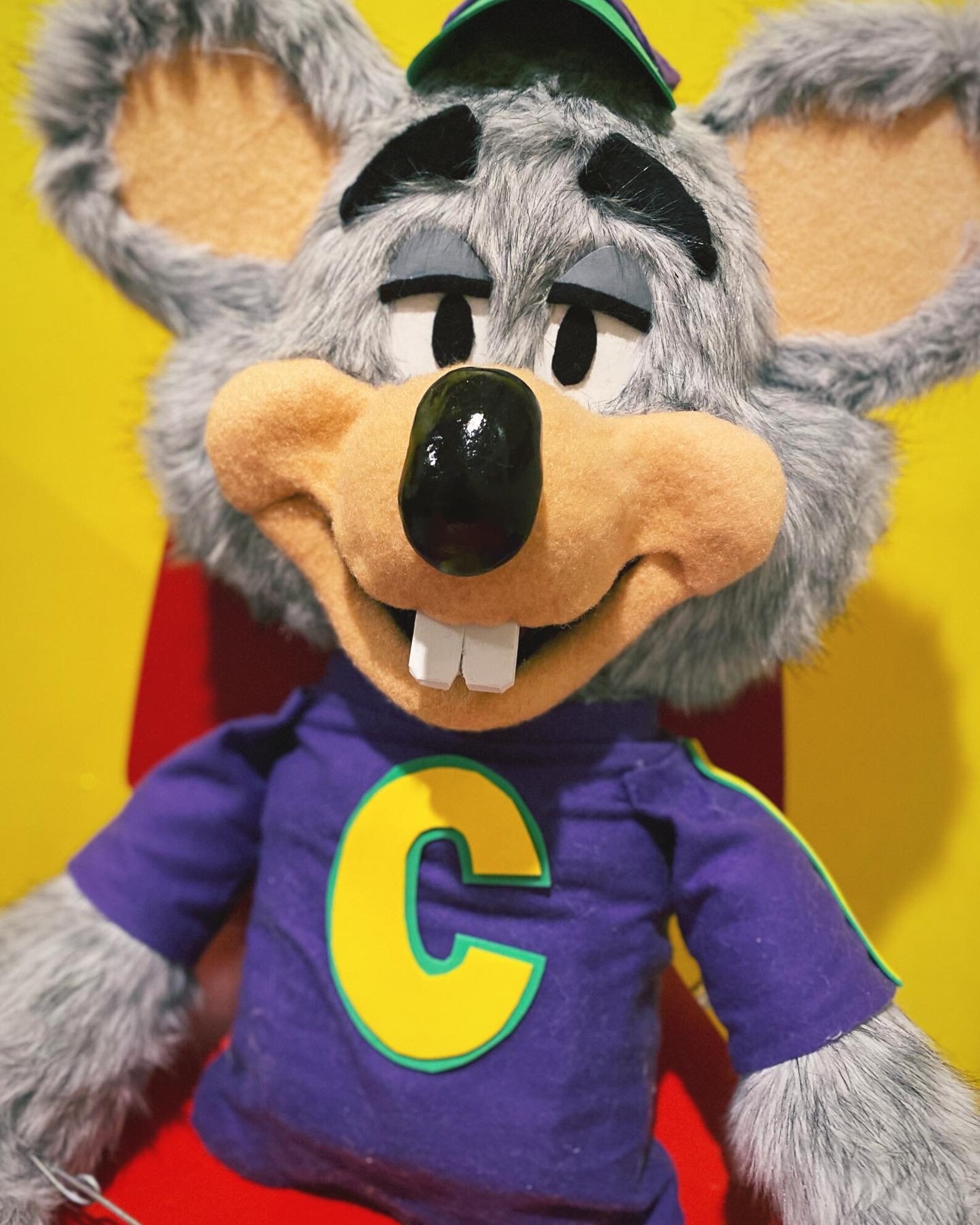 Chuck E. Cheese Puppet - Etsy UK