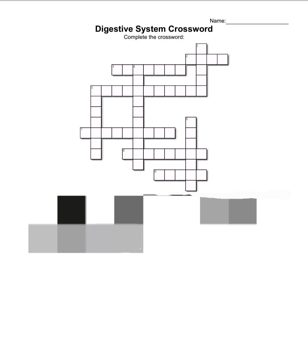 Digestive System Crossword Puzzle
