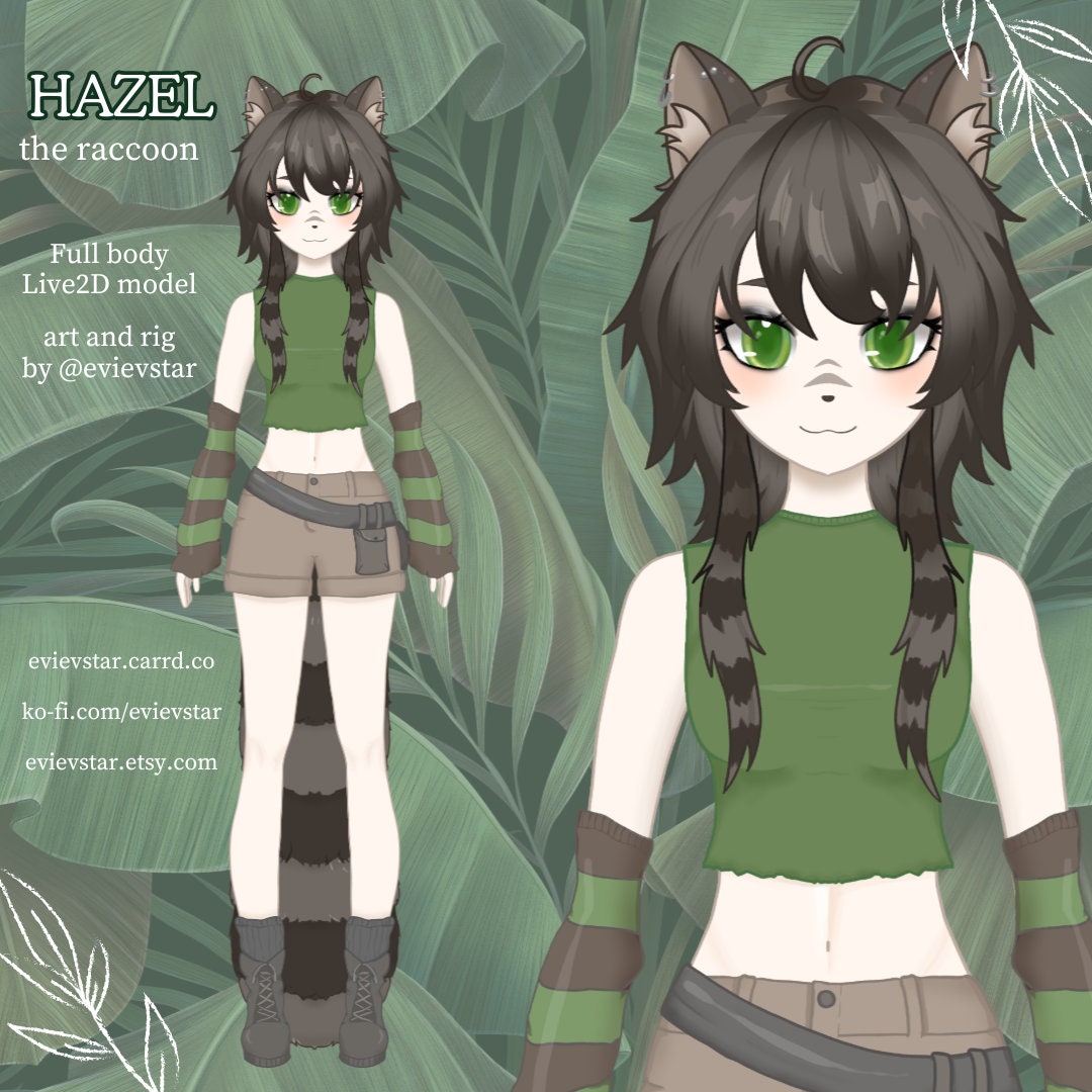 Hazel the Raccoon Live2d Customizable Vtuber 2D Model for Vtube Studio ...