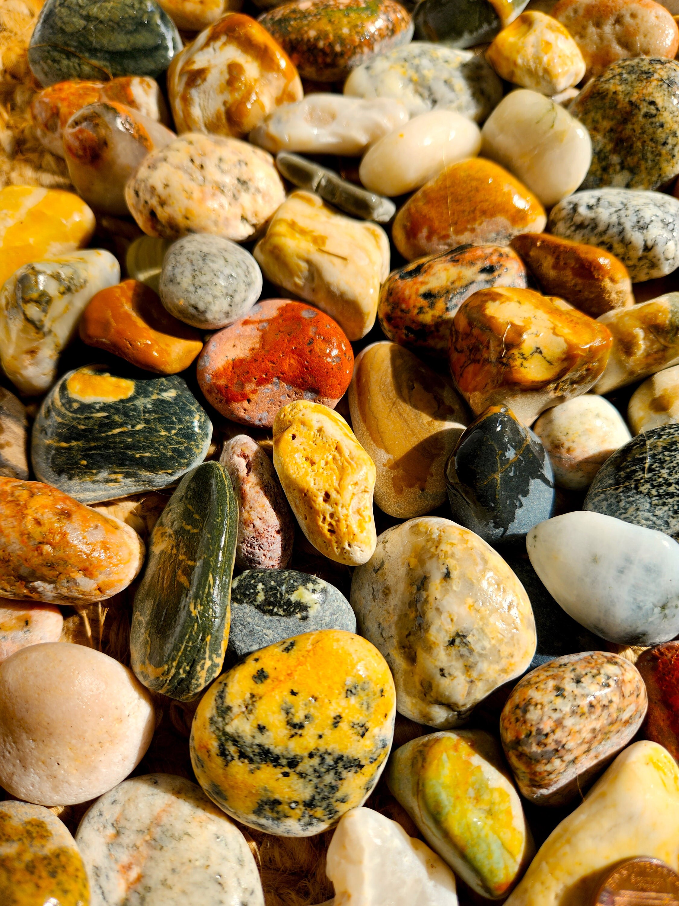Medium Raw Untumbled Beautiful Mix of Natural Great Lakes Rocks ...