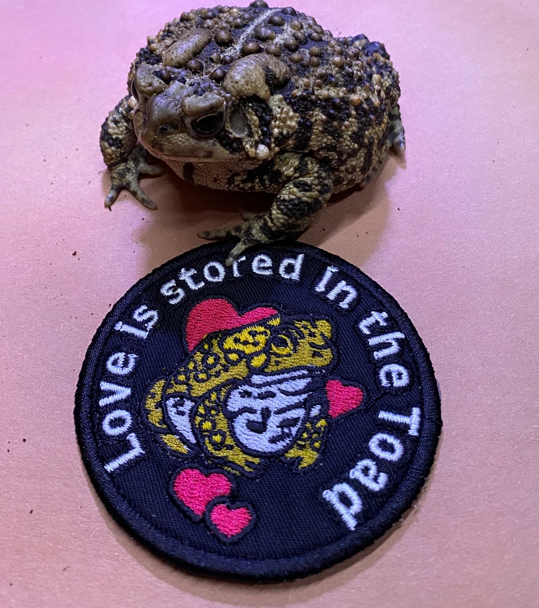 Whimsical Love is Stored in the Toad Patch: 3 Handcrafted Iron-on ...