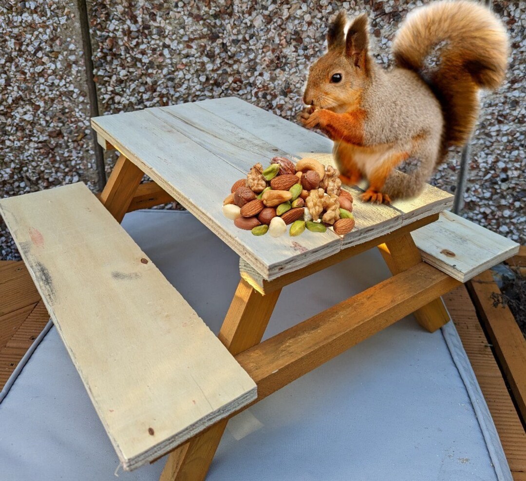 Mini Picnic Bench / Picnic Table Squirrel Feeder or Bird - Etsy UK