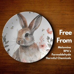 Easter Bunny Plates, Spring Rabbit 10" Round Plate, Indoor Outdoor ...