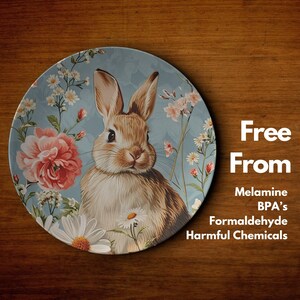Easter Bunny Plates, Spring Rabbit 10" Round Plate, Outdoor Dinnerware ...