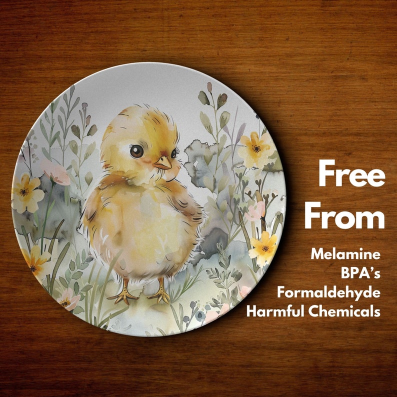 Easter Chick Plates, 10" Round Baby Spring Chick Dish, Indoor Outdoor ...
