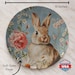 Easter Bunny Plates, Spring Rabbit 10" Round Plate, Outdoor Dinnerware ...