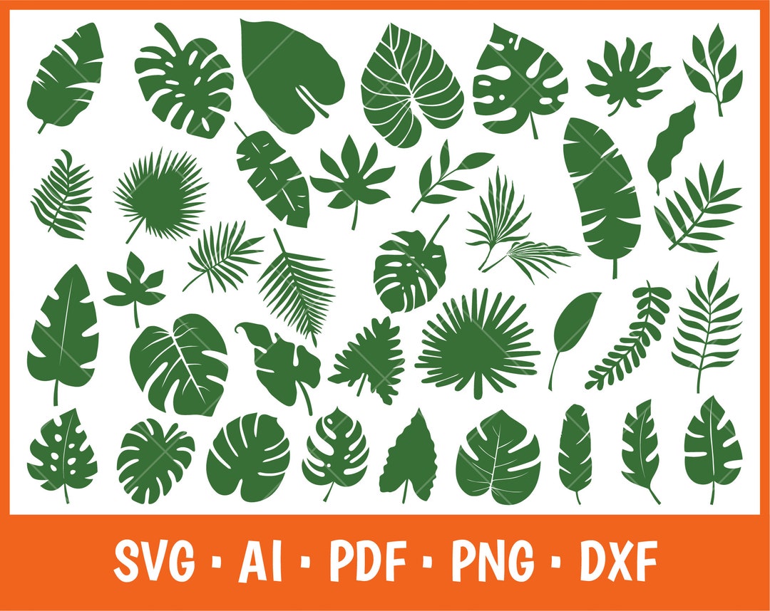 Tropical Leaves Svg Bundle, Monstera Leaf Svg, Tropical Leaf Svg, Palm ...