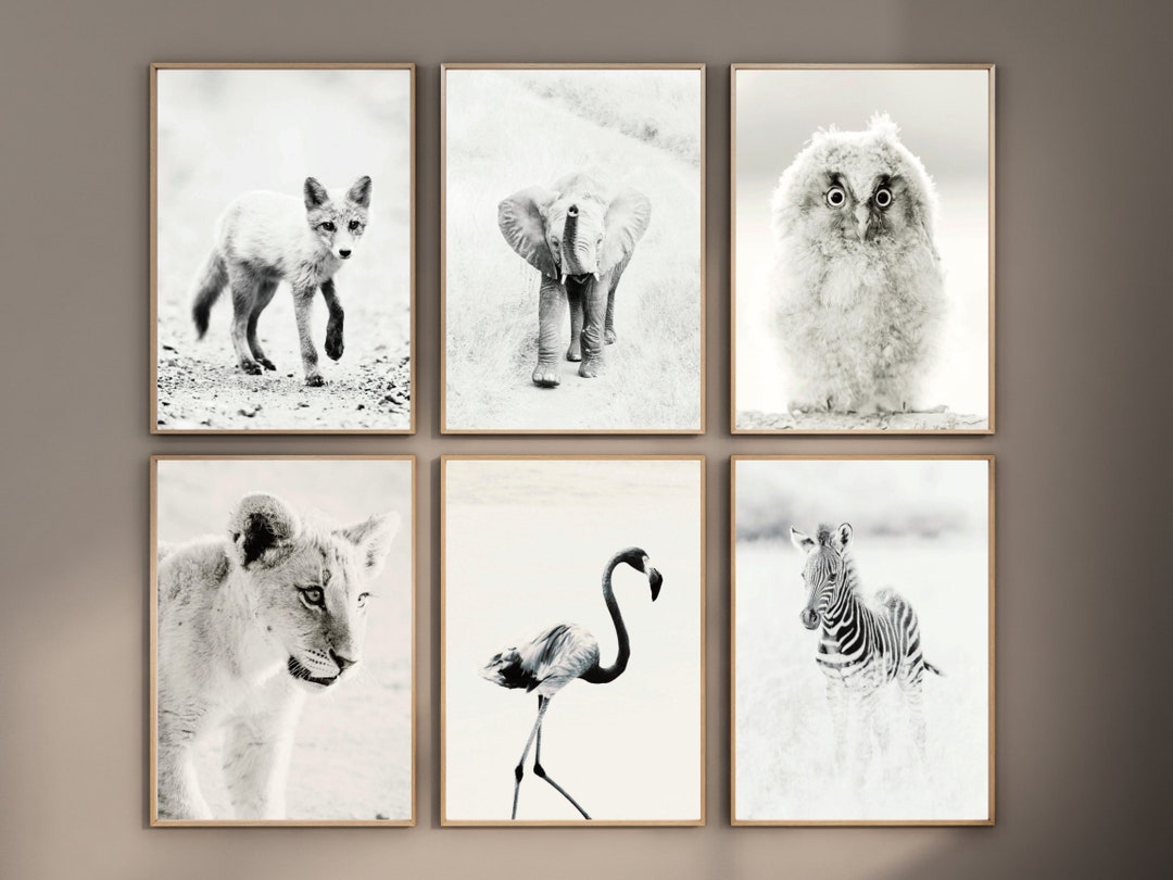 Jungle Animal Prints, Wild Animals, Black and White Safari Nursery ...