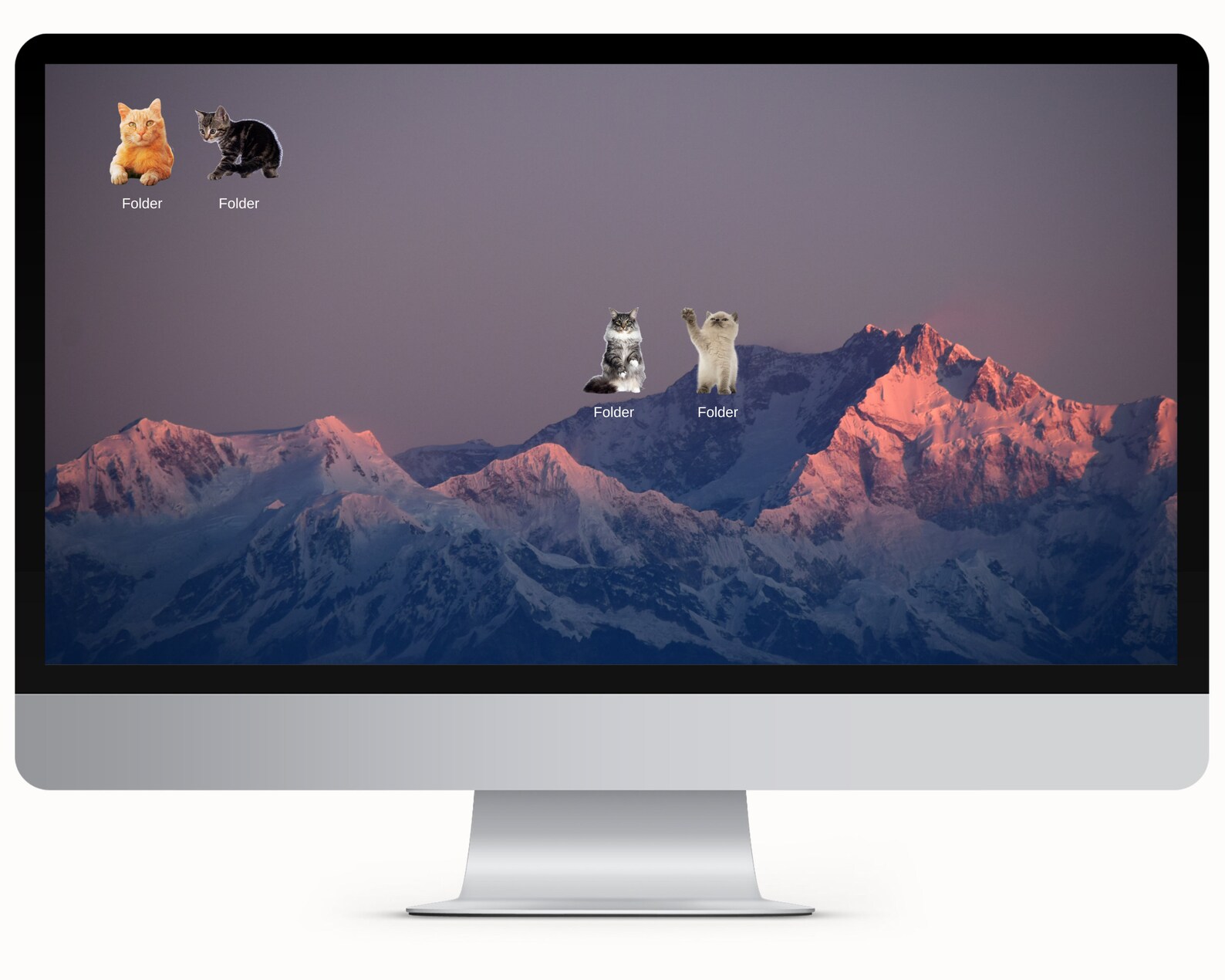 Cute Cat Desktop Folder Icon for Mac and Windows, Mac Desktop Folder ...