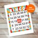 300 Retro Style Orange Bingo Cards, 1, 2, or 4 per Page, Fun Party Game ...