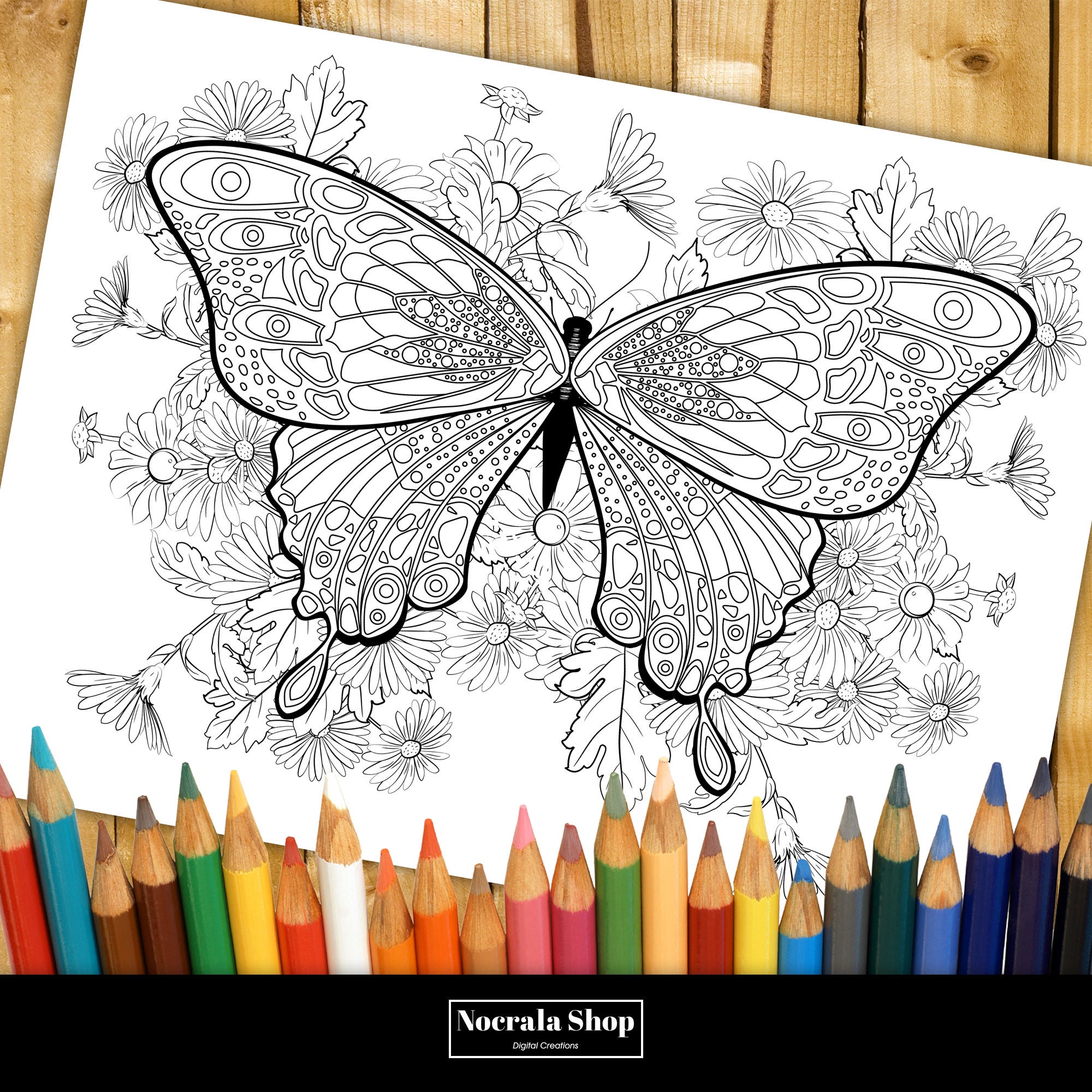 Giant Butterfly Coloring Posters, Mandala Art, 36" X 48" (digital ...