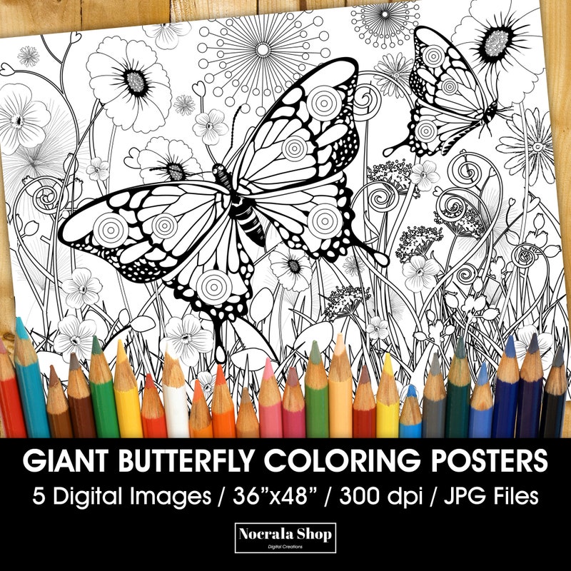 Butterfly Poster - Etsy