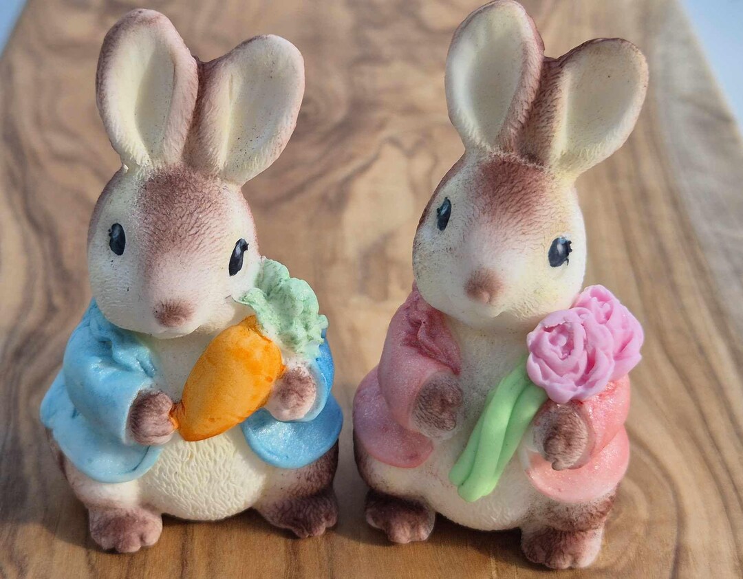 Edible Fondant, Sugarpaste Peter Rabbit and Flopsy Bunny Inspired Cake ...