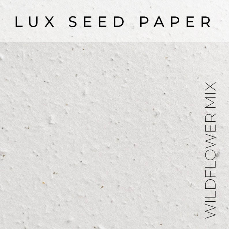 PLANTABLE SEED PAPER- Eco-friendly and Plantable Seed Paper Wedding ...
